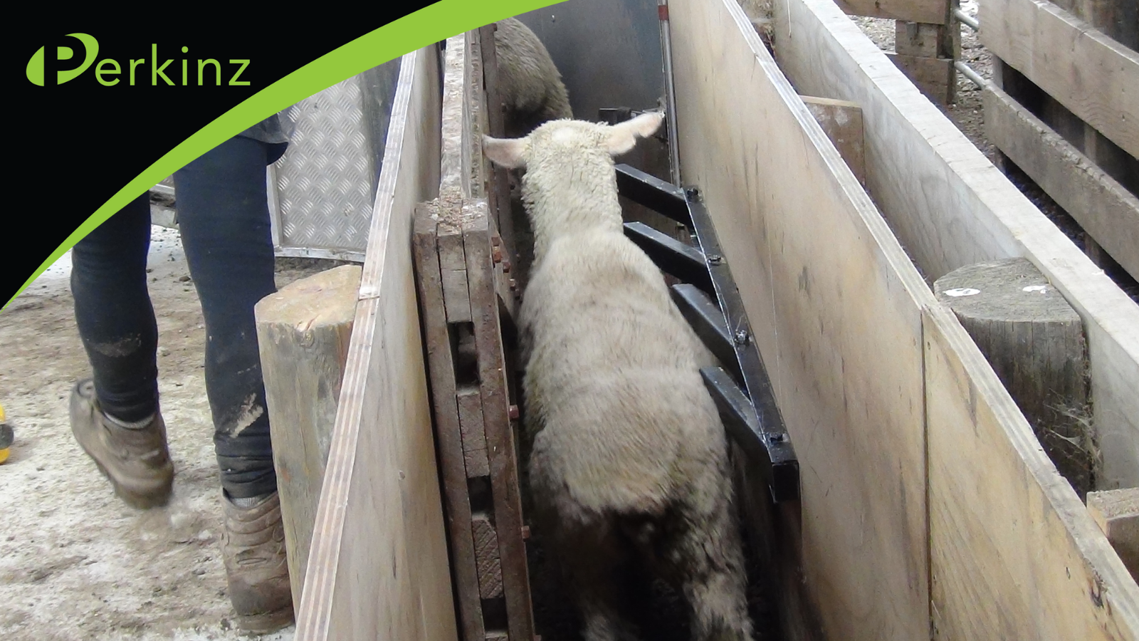 AntiBacker – Perkinz New Zealand - EB Engineering